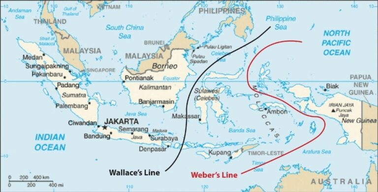 Wallace Line: A Boundary of Life - Cosmo Science